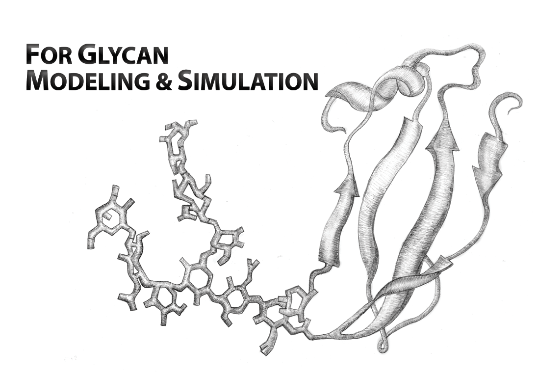 glycanstructure.org | Glycan Modeling and Simulation